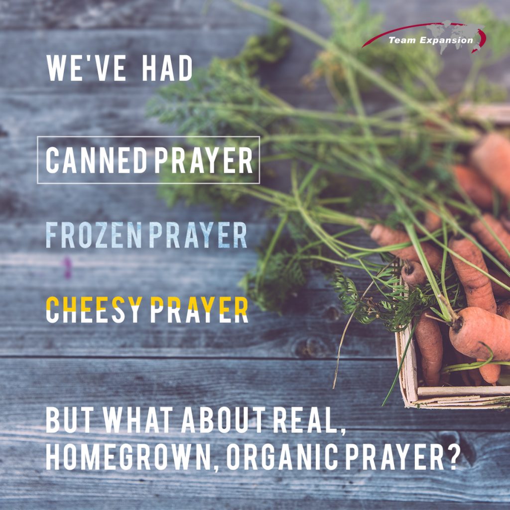 vegetable prayer - Team Expansion