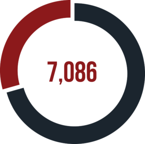 pie chart - Team Expansion